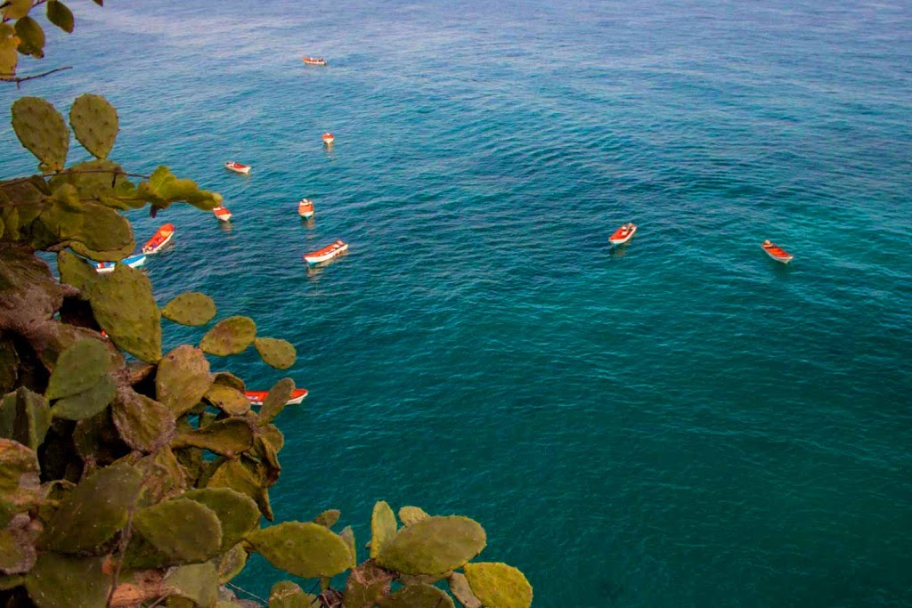 Choroni – Angel-Eco Tours