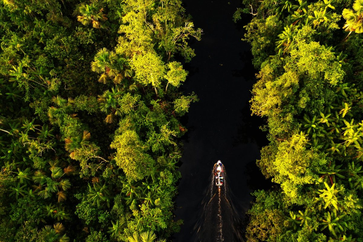 Orinoco Delta – Interesting Facts – Angel-Eco Tours