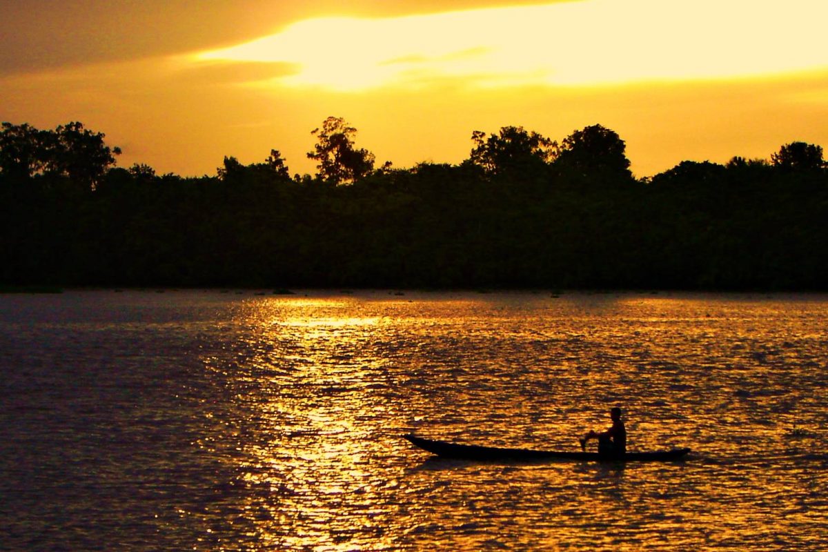 Orinoco Delta – Interesting Facts – Angel-Eco Tours